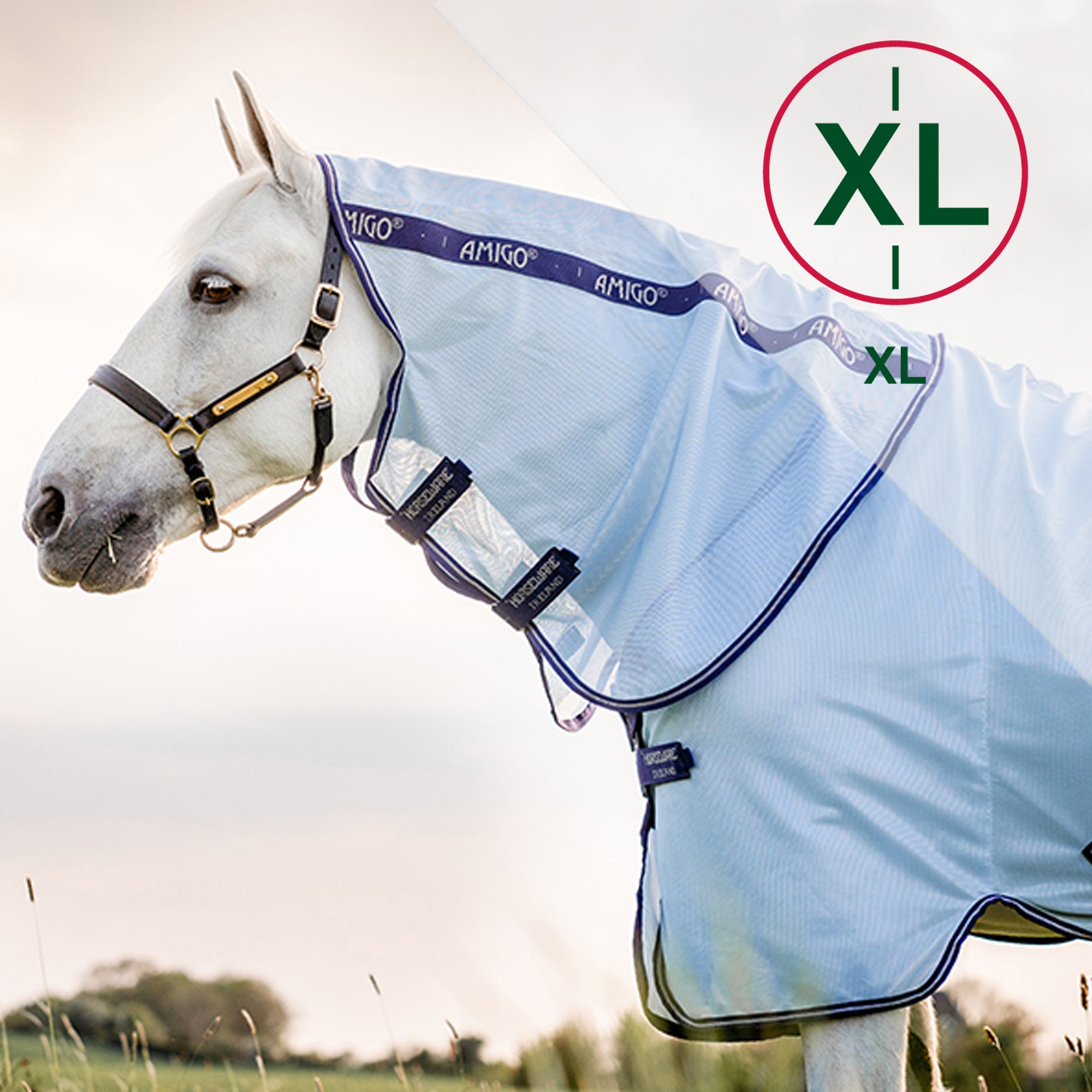 Amigo XL Bug Rug – ZENN EQUINE - Hard As Nails Horse Rugs