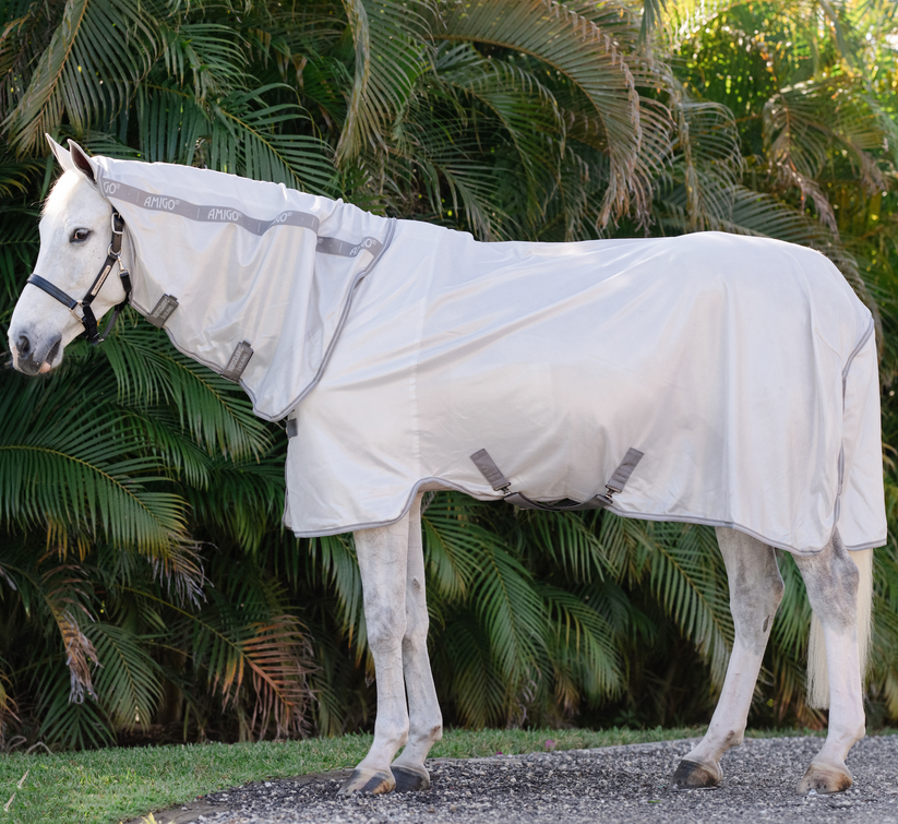Amigo Integrated Fly Sheet – ZENN EQUINE - Hard As Nails Horse Rugs