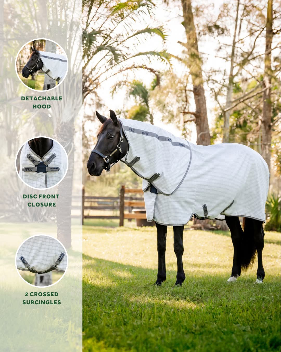 Amigo Summer Sheet Plus – ZENN EQUINE - Hard As Nails Horse Rugs